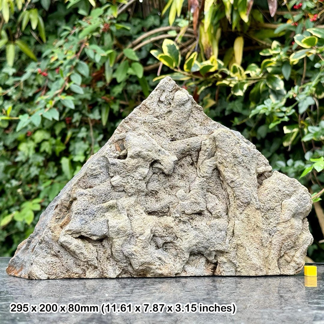 Freestanding Crustacean Burrows Trace Fossil With Base Cut - Upper ...
