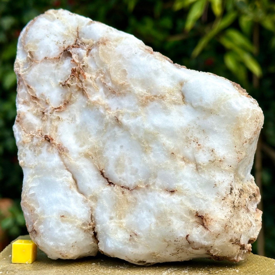 Snow Crystal Gypsum Aust Bristol Triassic Age Authentic - Etsy