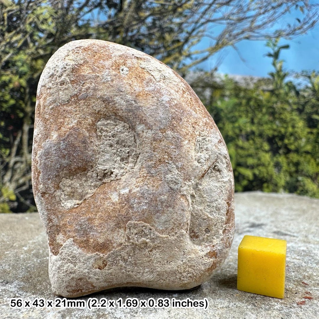 Menolite Crystal - Rare Genuine Mineral Specimen With Certificate of ...