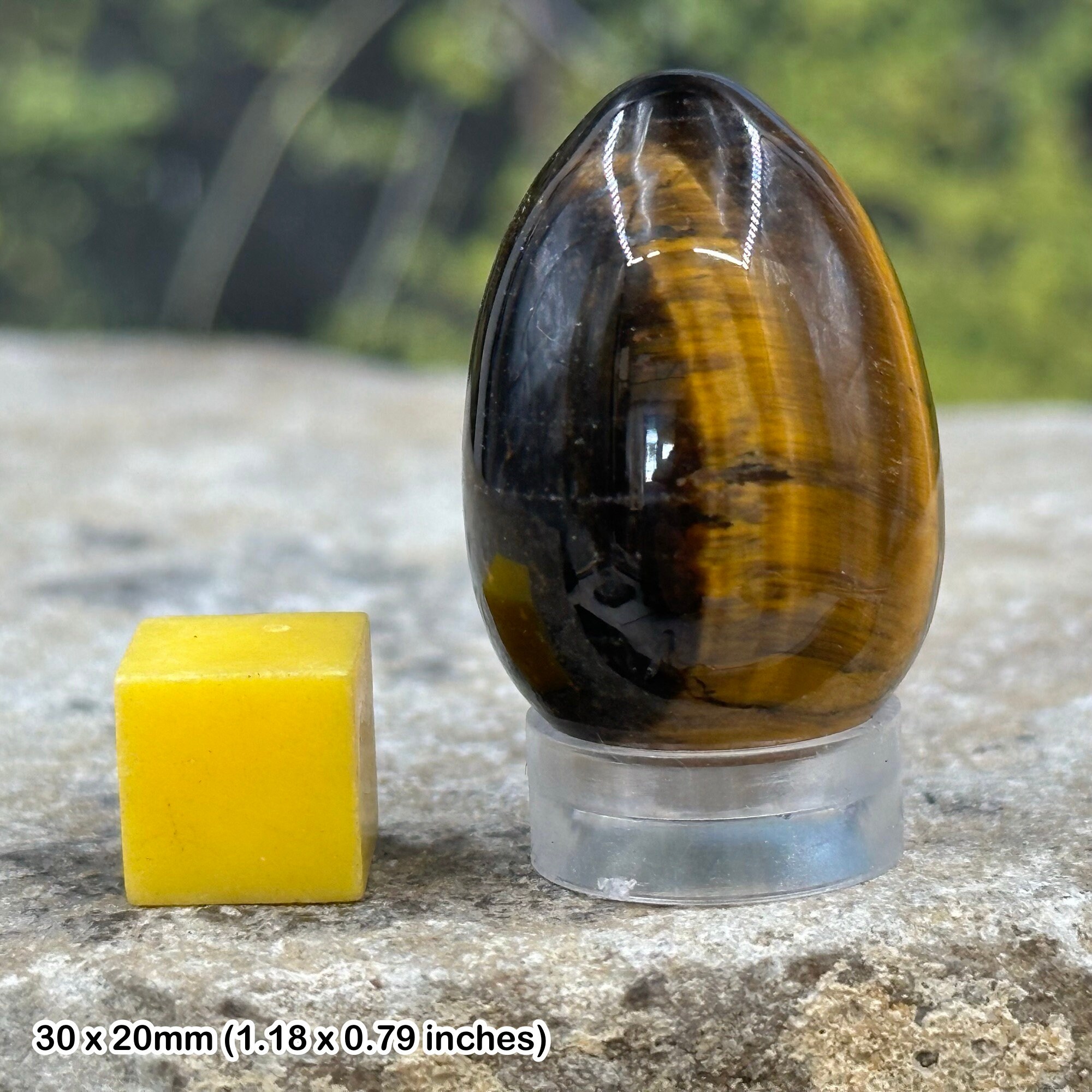 Tigers eye egg store