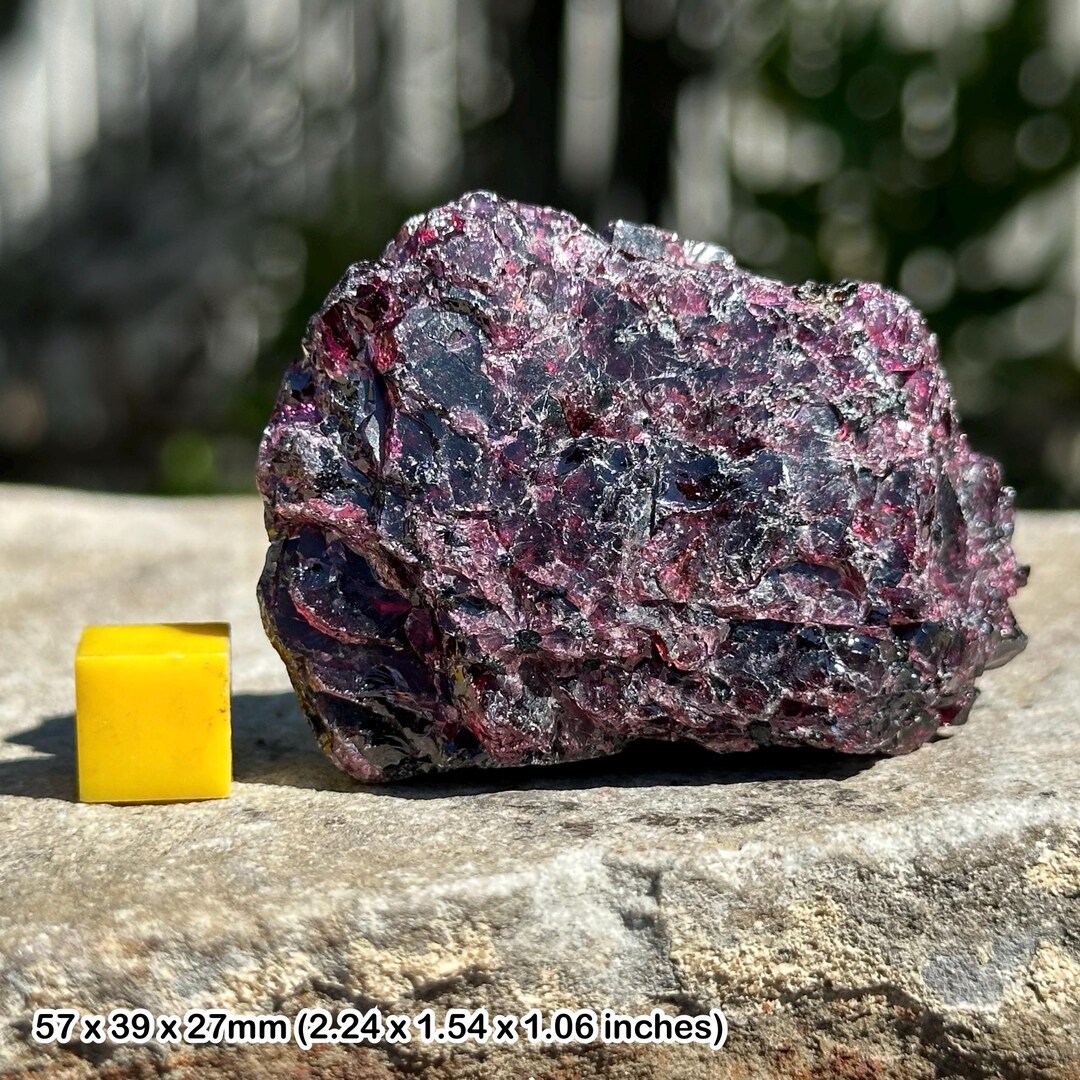 Pyrope Garnet Crystal - Natural Deep Red Mineral From Madagascar W/ Coa ...