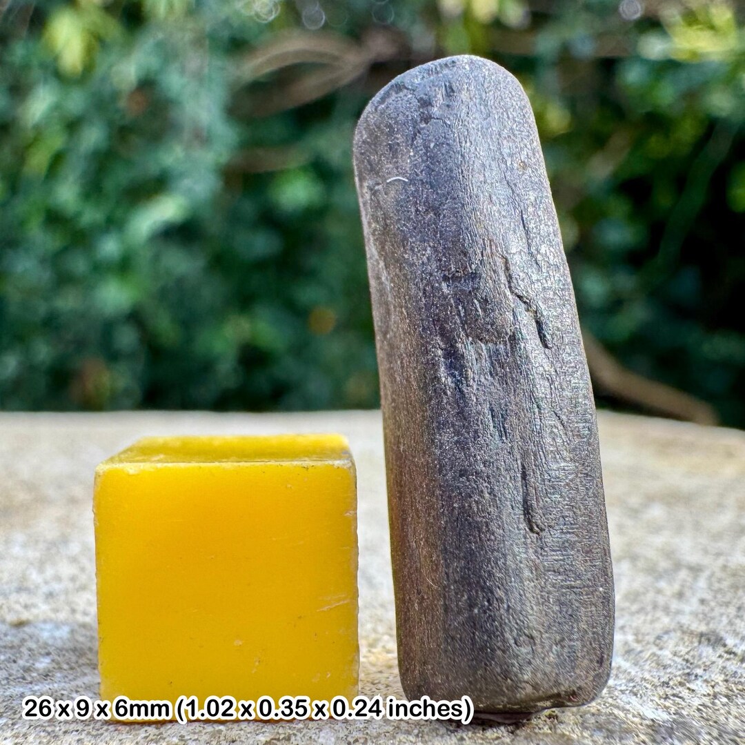 Fossil Ichthyosaur Rib Section Jurassic Kimmeridge Clay Dorset Uk ...