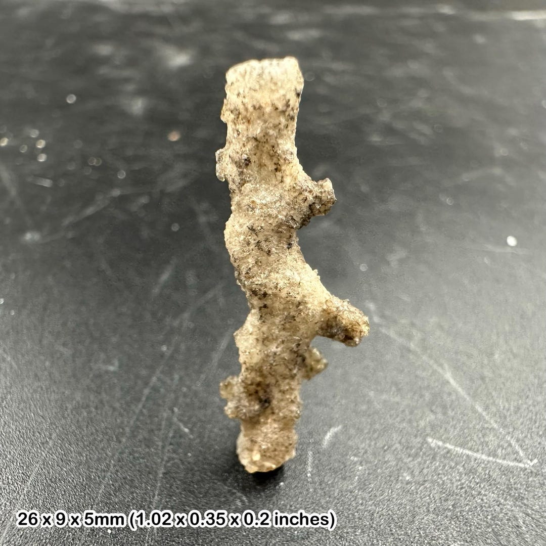 Fulgurite Lightning Strike Mineral Glass Tube Morocco – Natural Desert ...