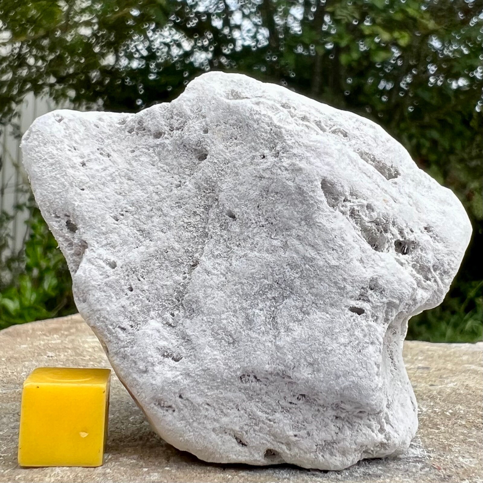 Igneous Rocks Pumice