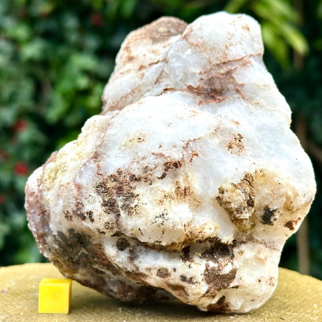 Snow Crystal Gypsum, Aust, Bristol, Triassic Age, Authentic - Etsy