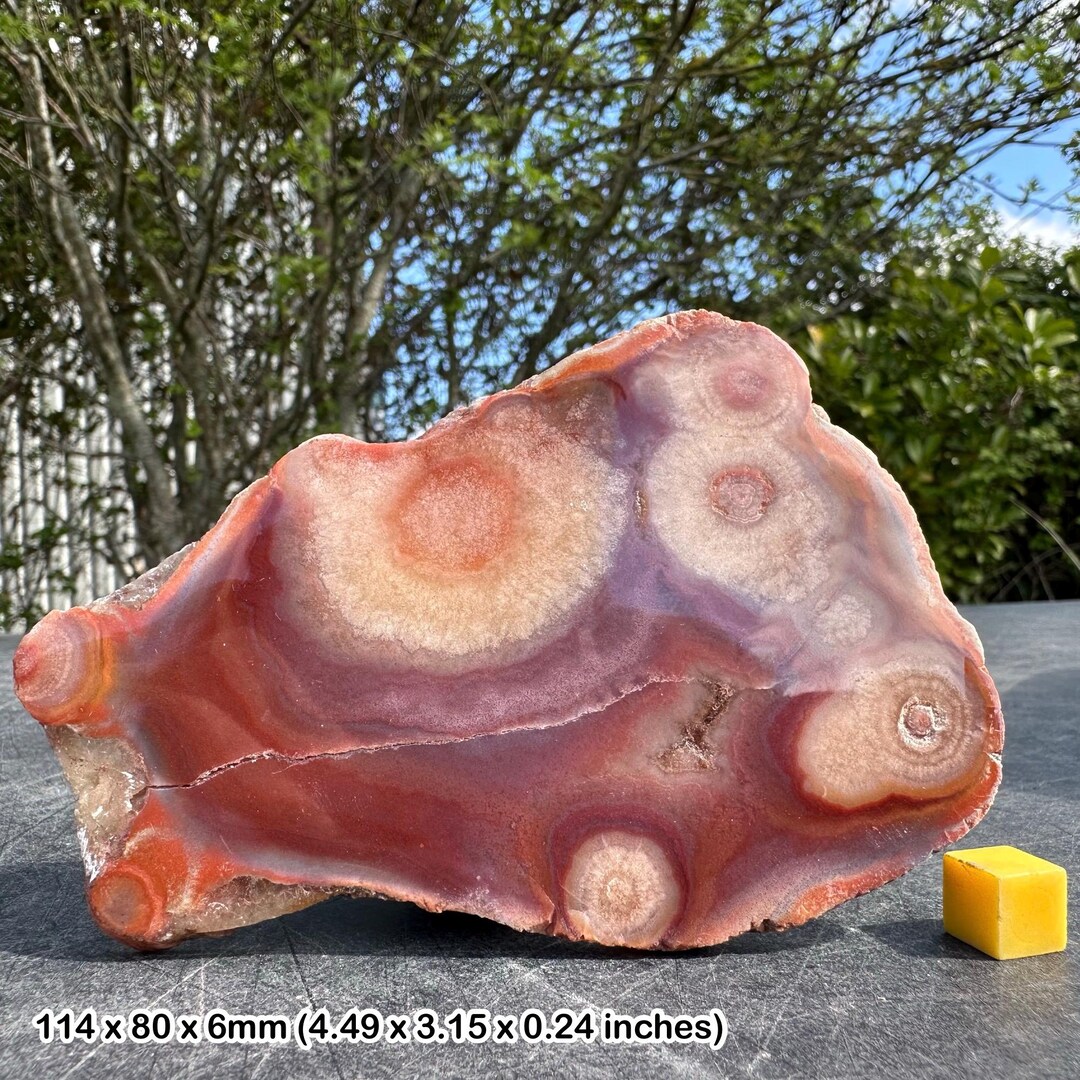 Dulcote Agate Polished Slice Crystal Healing Stone - Genuine Specimen ...
