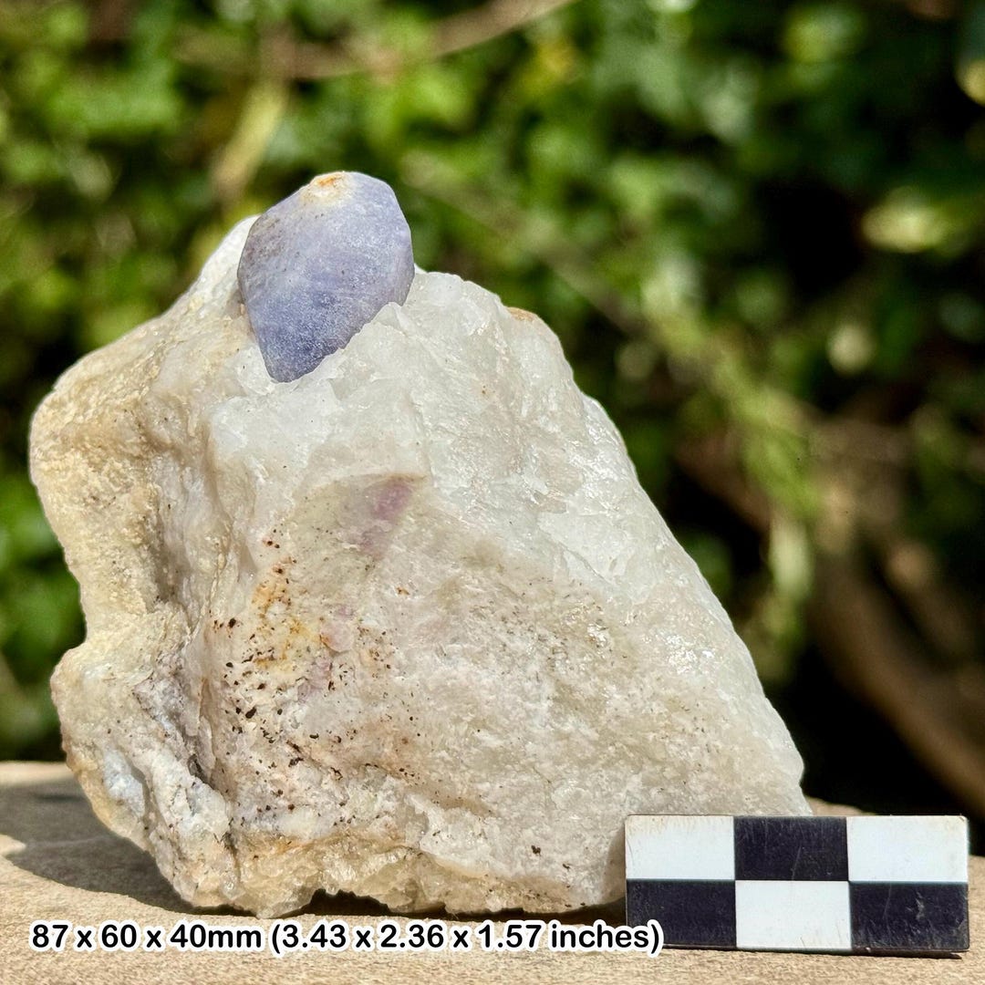Very Rare Uv Hackmanite Crystal Afghanistan Fluorescent Sodalite ...