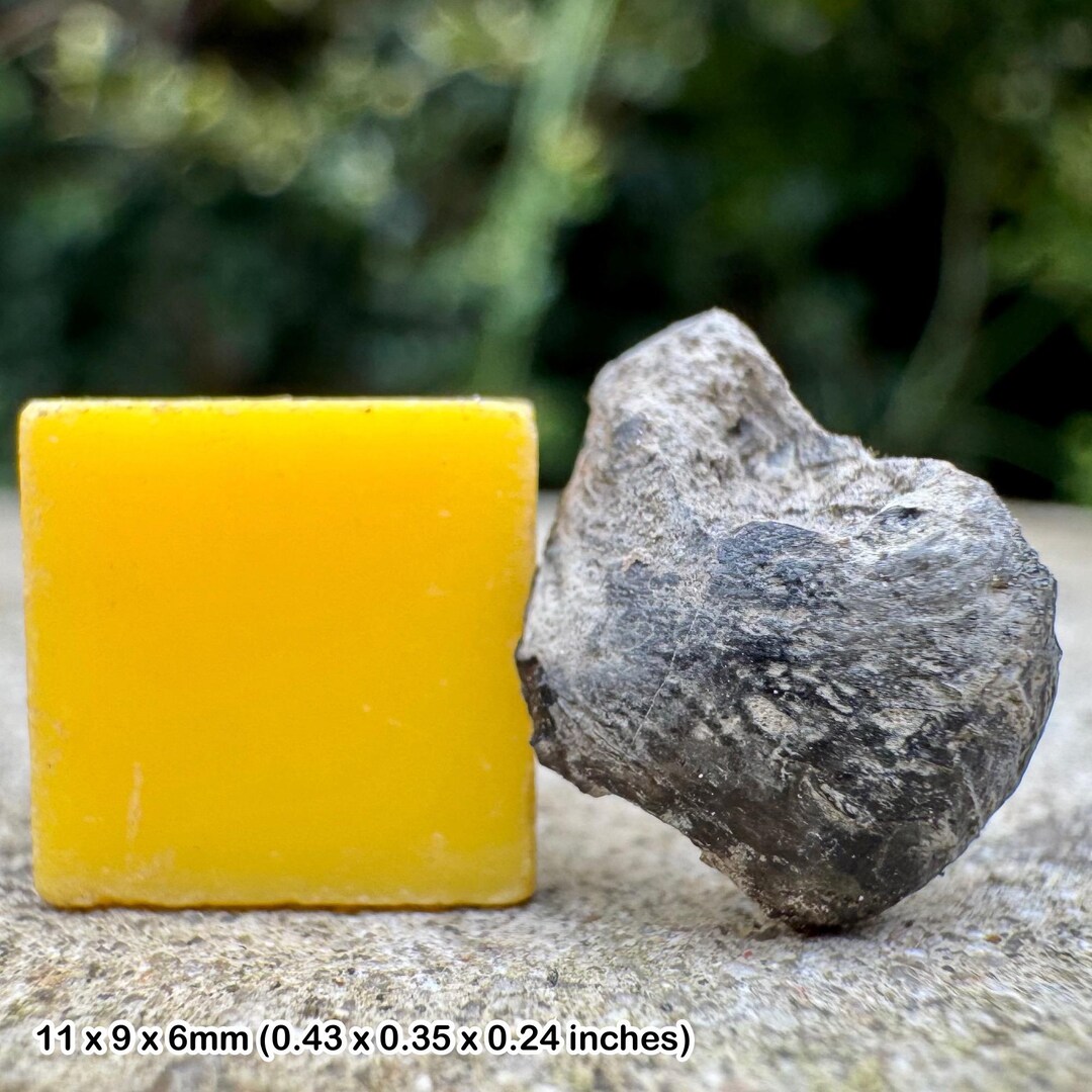 Rare Cretaceous Crocodile Coprolite Fossil Weald Clay, Smokejacks ...