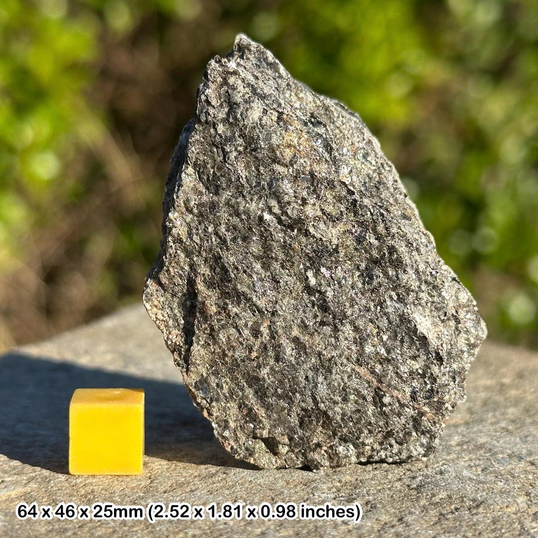 Mica Schist - Metamorphic Teaching Rock, Classroom Study Crystal - Etsy