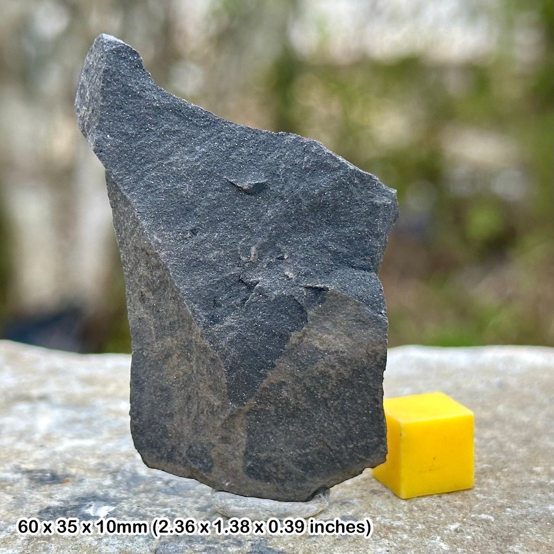 Authentic Uk Oil Shale Rock Sample Fracking Exploration - Etsy