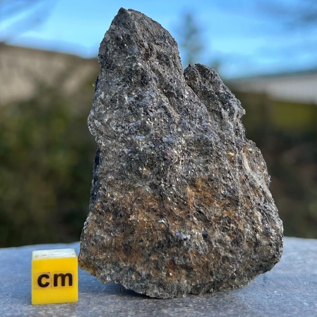 Mica Schist Metamorphic Teaching Rock Classroom Study Rse228 - Etsy