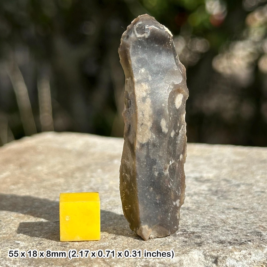 Rare Elongated Neolithic End Scraper Artefact British Stone Age Tool ...