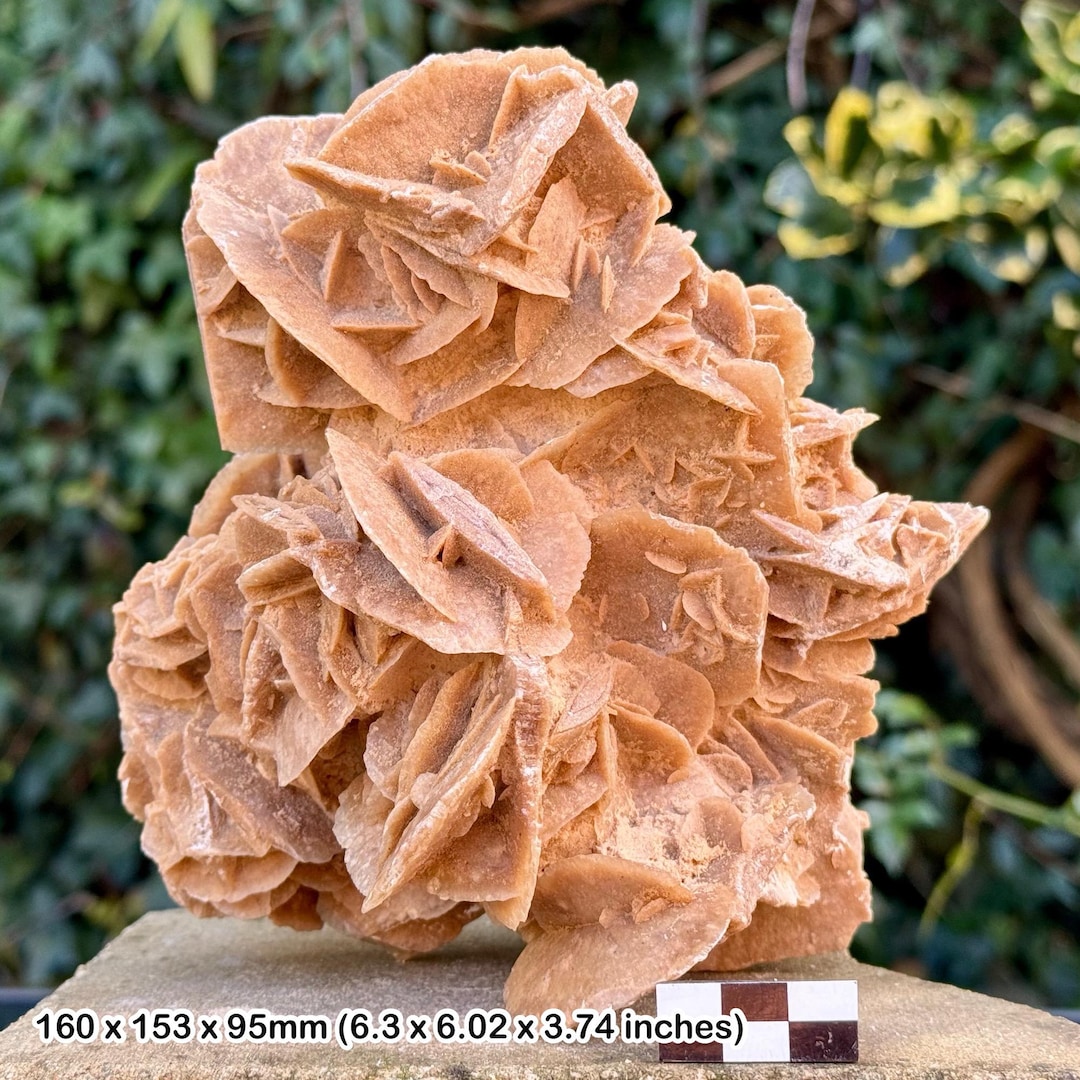 Huge Gypsum Desert Rose Healing Crystal | Genuine Specimen ...