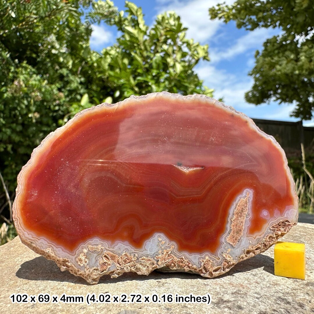 Red Agate Slice for Grounding and Protection - Etsy