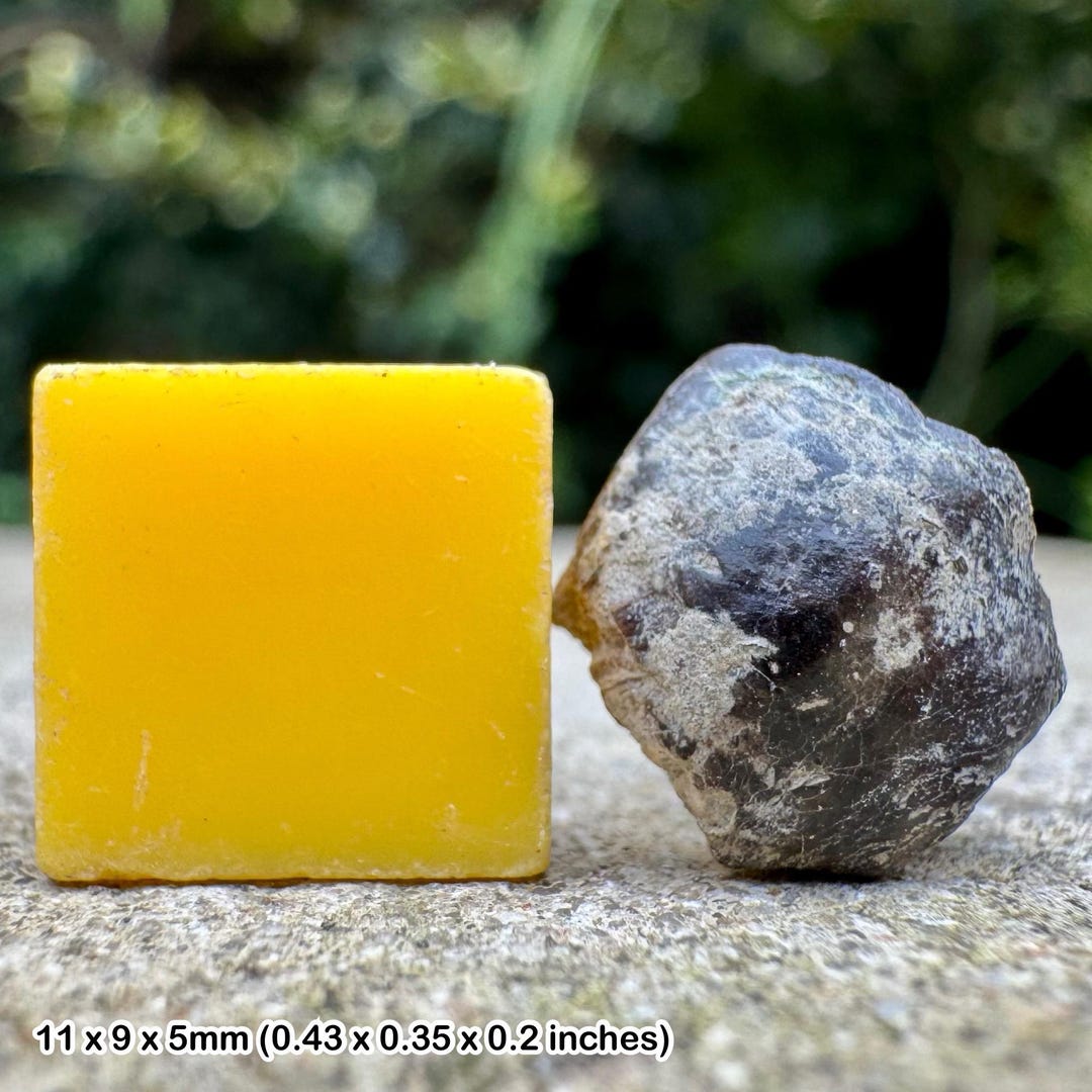 Rare Cretaceous Crocodile Coprolite Fossil - Weald Clay, Smokejacks ...