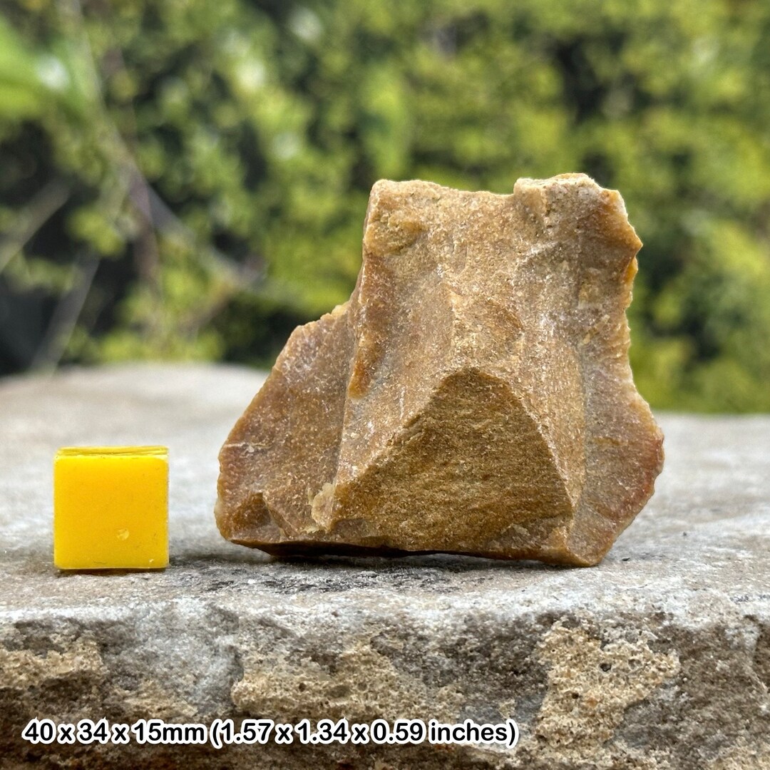 Chert, Portland, Uk teaching Class Rock Gcse Geology - Etsy