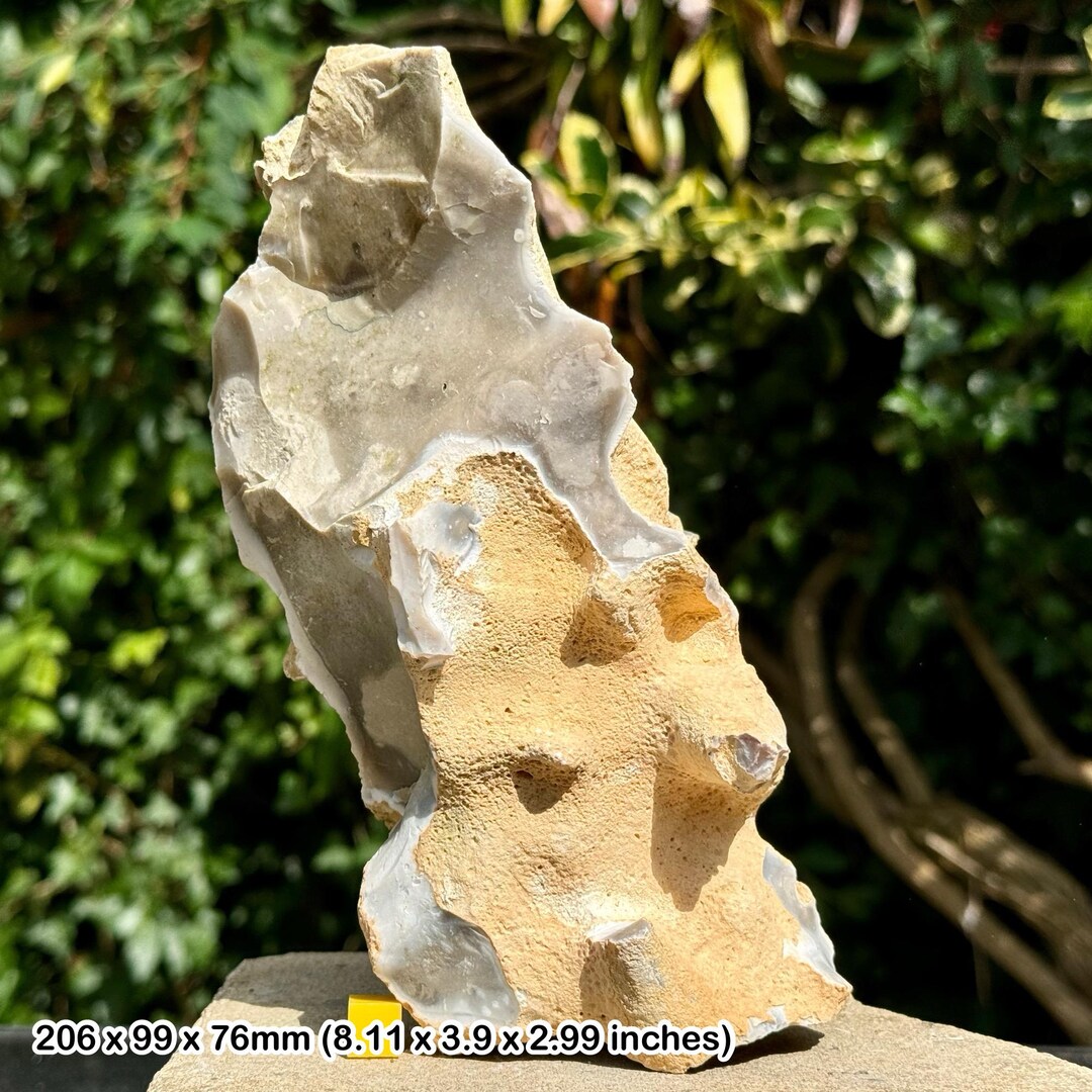 Spiky Flint A-grade Specimen Sedimentary Rock Educational Crystal - Etsy