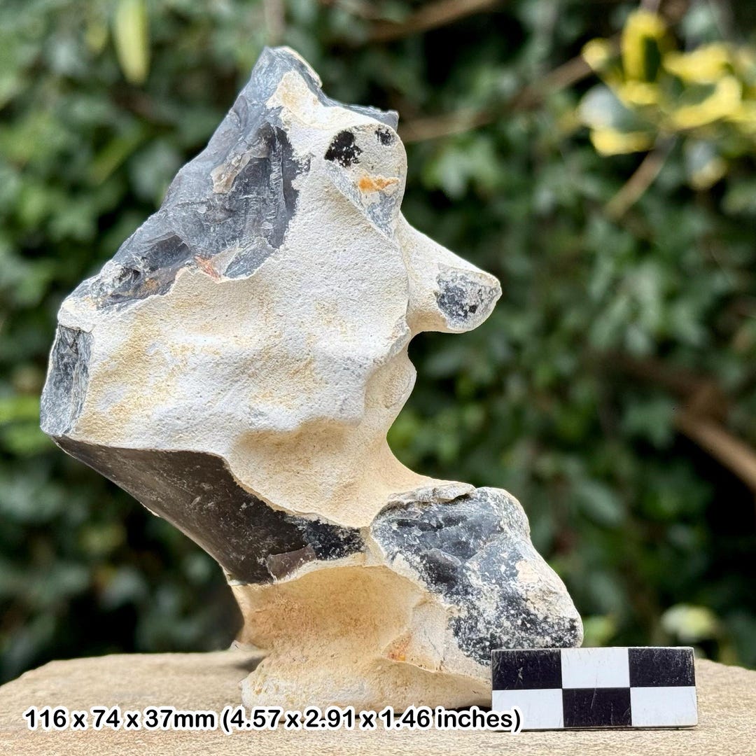Spiky Flint Crystal – Cretaceous Grey Chalk, Branscombe Dorset Uk ...