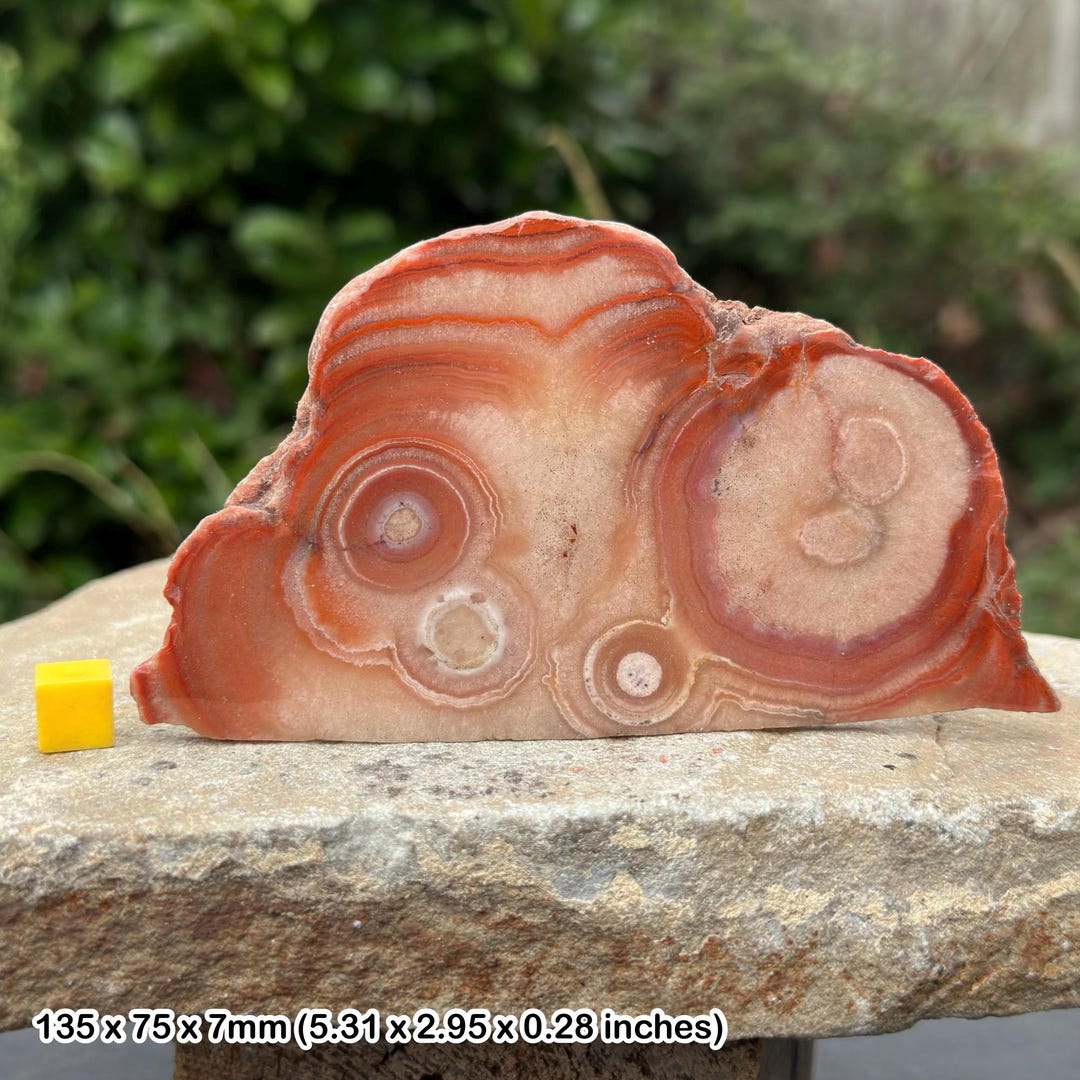 Dulcote Agate Polished Slice Crystal Spiritual Stone - Genuine Specimen ...