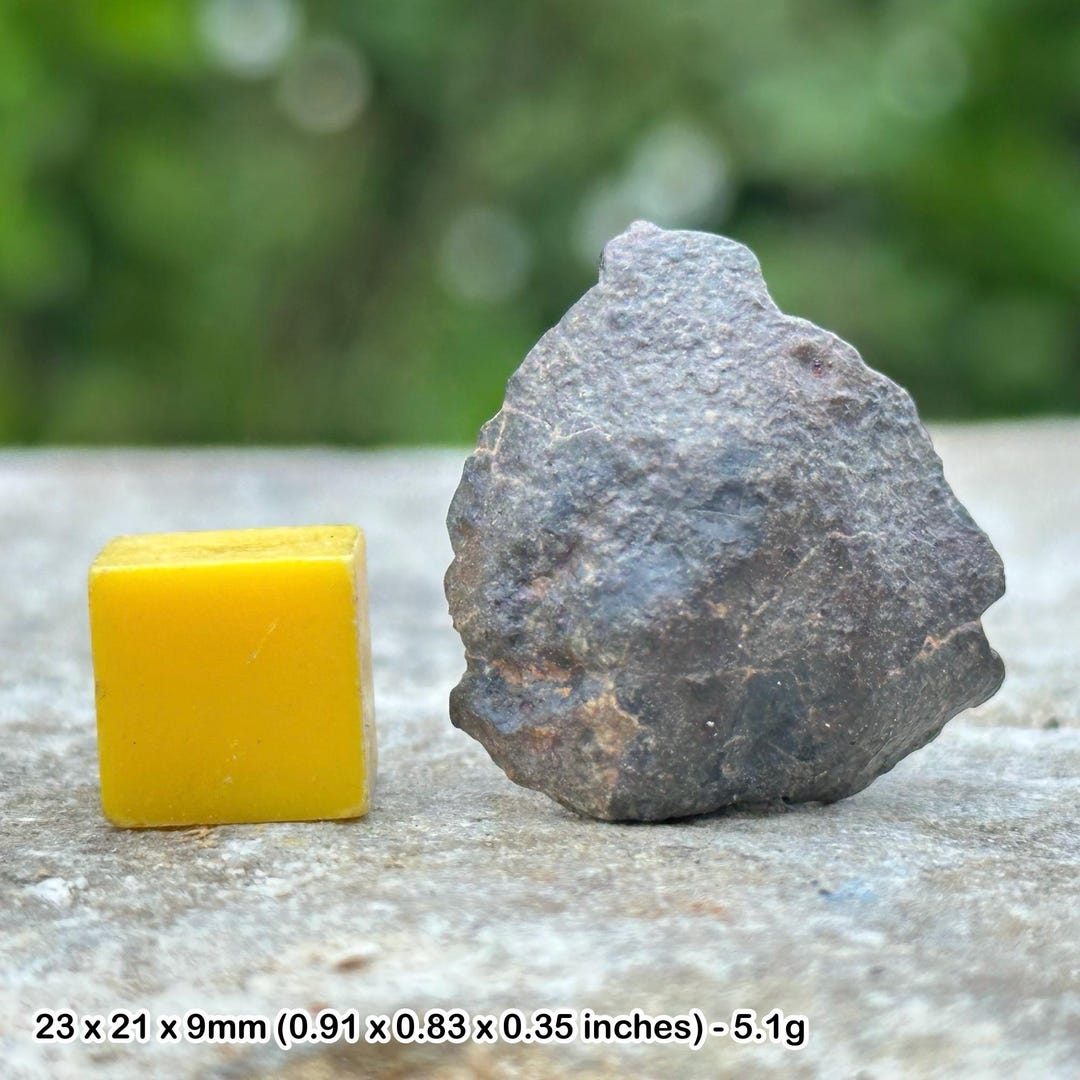 L4/5 Common Chondrite Meteorite With Fusion Crust - Certified North ...