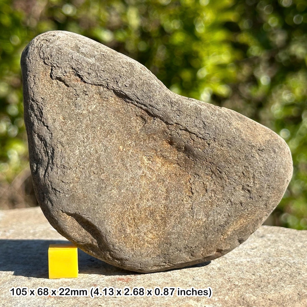 Authentic Uk Oil Shale Rock Sample - Fracking Exploration Geology ...