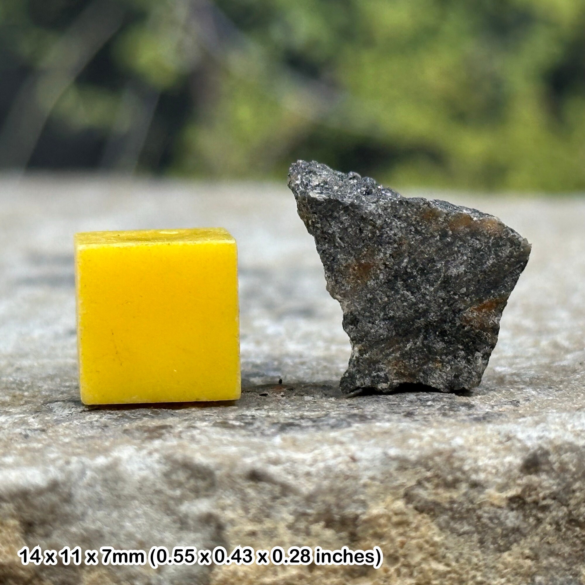 Acasta Gneiss Oldest Known Rock on Earth Rp0345 Certified - Etsy