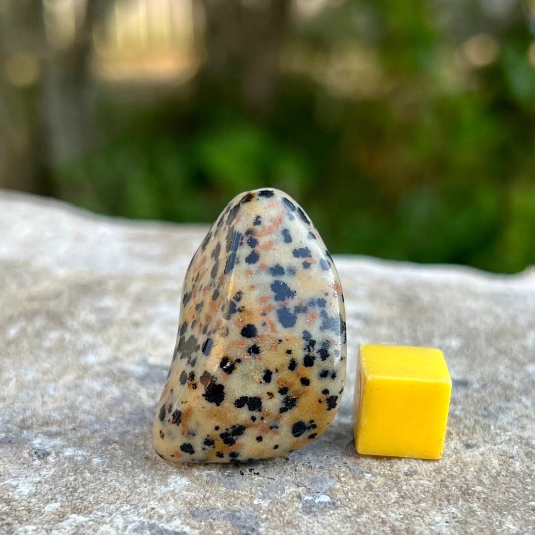 Dalmatian Jasper Tumblestone for Playfulness and Positivity - Etsy