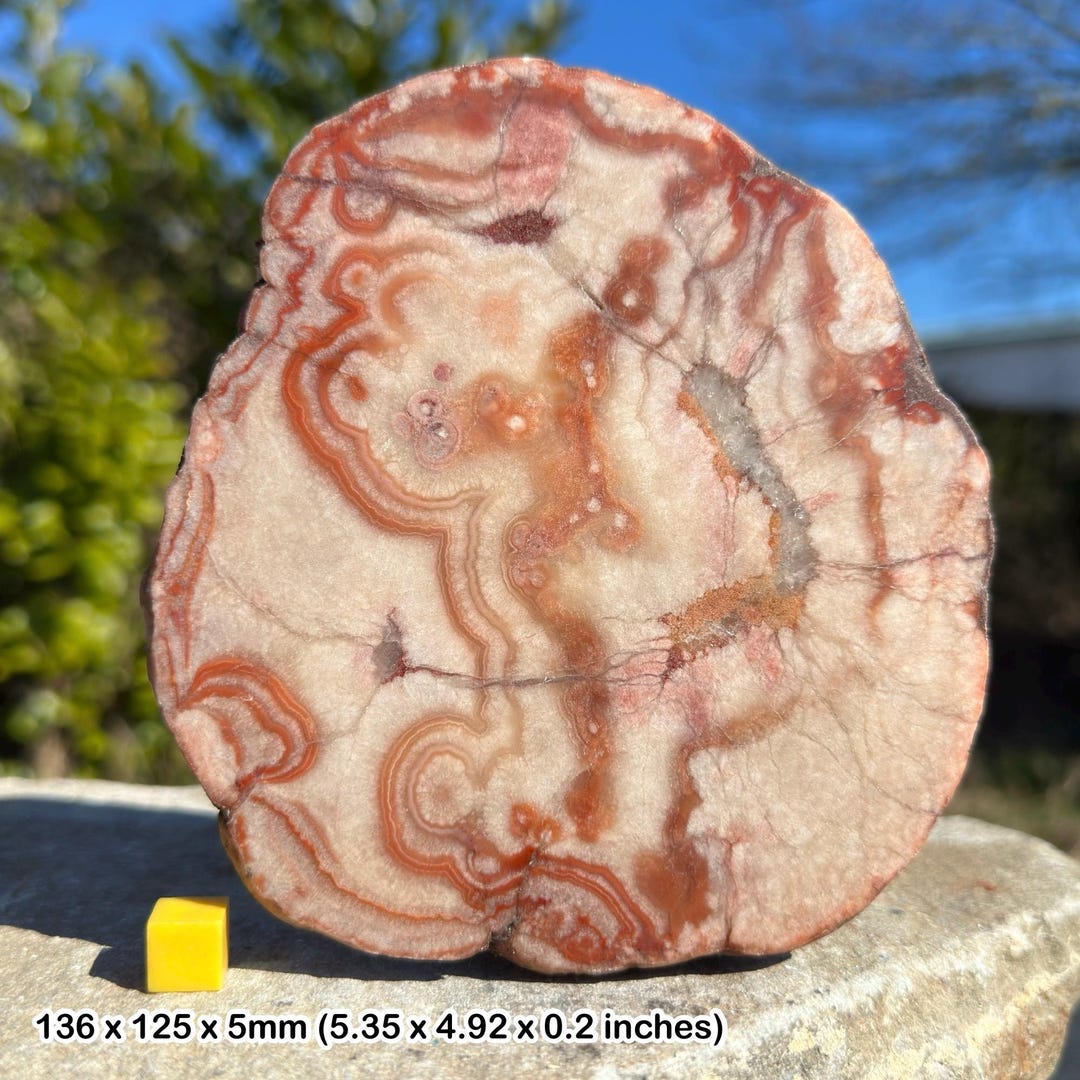 Dulcote Agate Polished Slice Crystal Healing Stone - Genuine Specimen ...