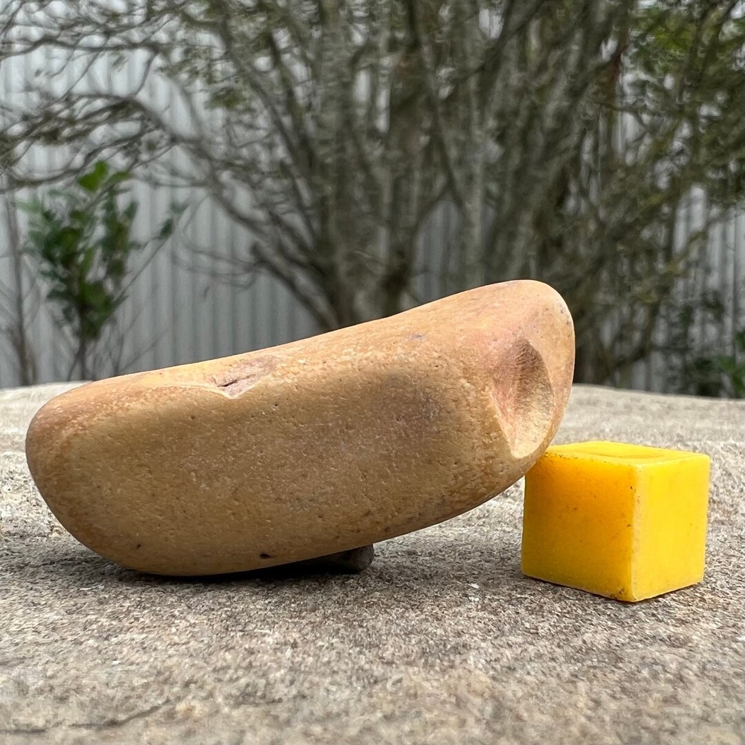 Dinosaur Stomach Stone Fossil Gastrolith Jurassic Usa Genuine Specimen ...