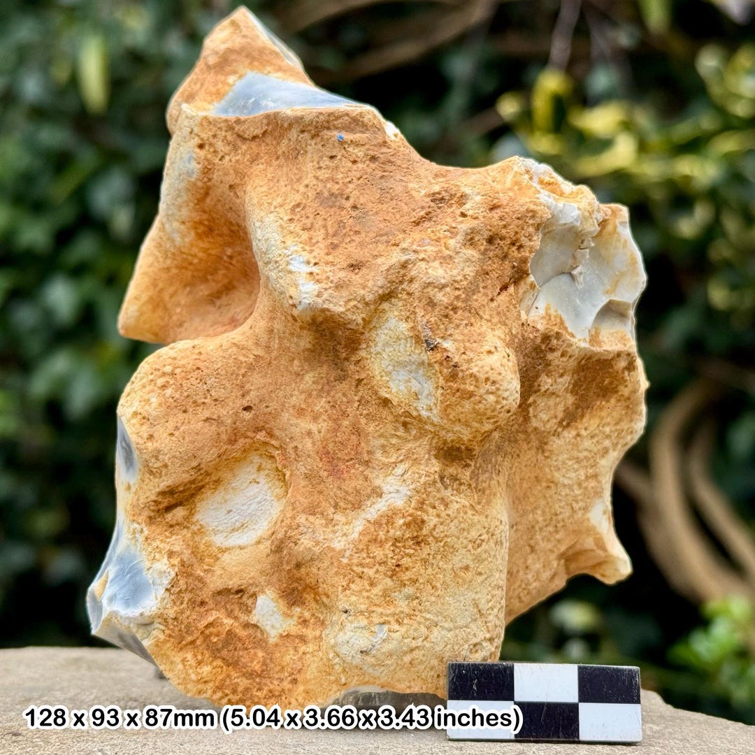 Spiky Flint Crystal – Cretaceous Grey Chalk, Branscombe Dorset Uk ...
