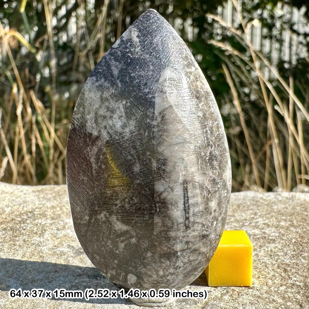 Authentic Orthoceras Fossil in Marble Stone, Devonian, Uk Seller - Etsy