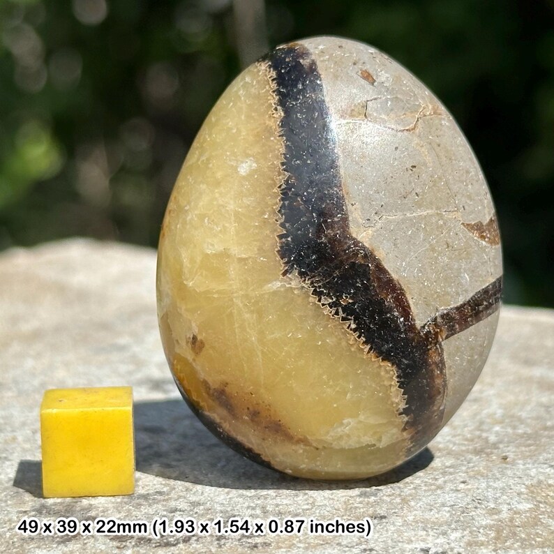 A-grade Yellow Septarian Pebbles, Polished From Madagascar, Genuine ...