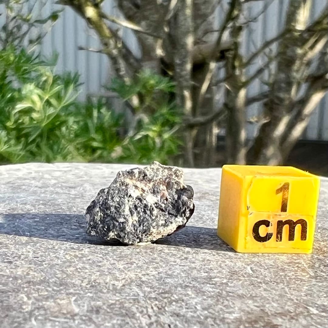 Certified Lunar NWA 8687 2014 Meteorite Space Rock - Etsy