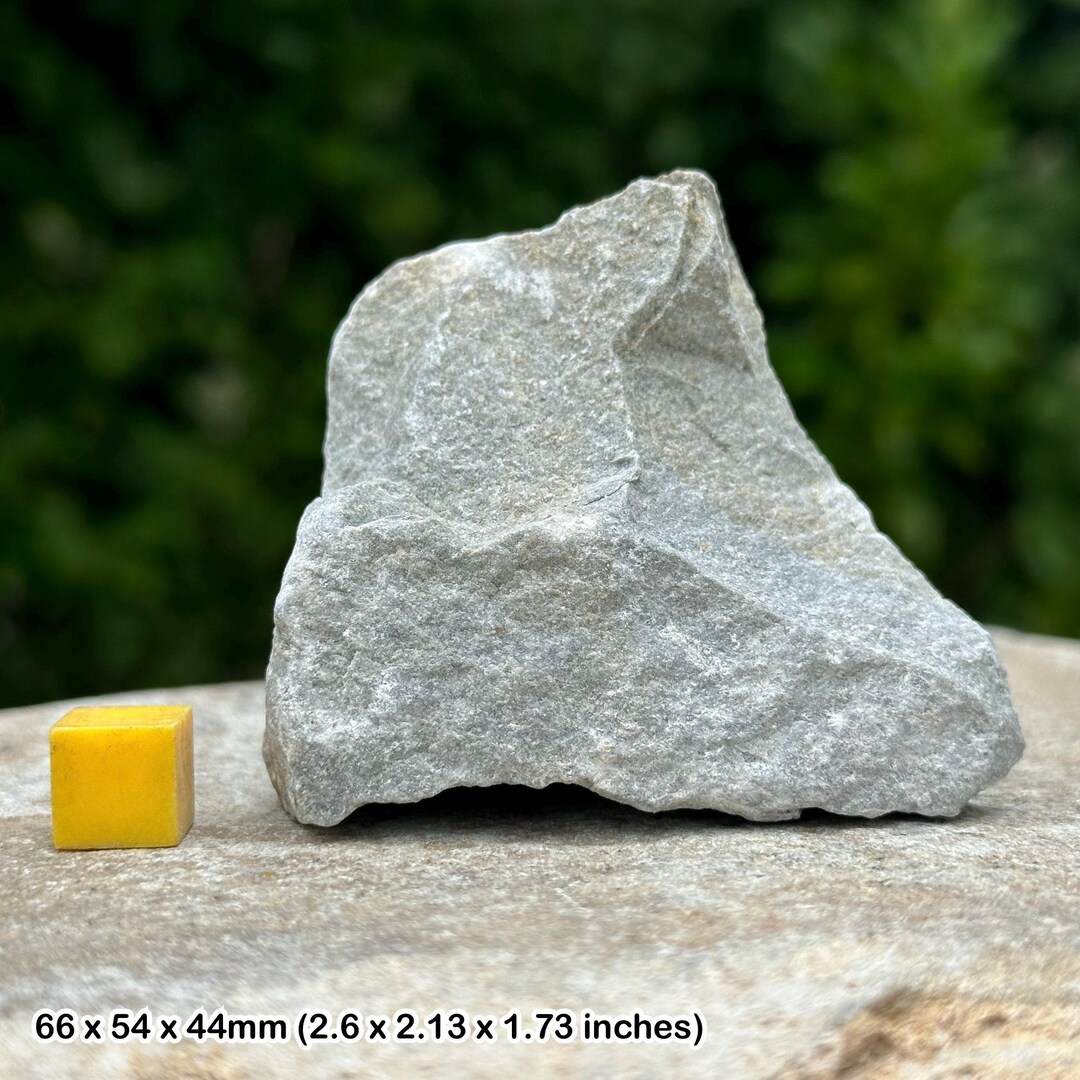 Purbeck Limestone - Teaching, Classroom Geology Rock, Dorset Jurassic ...