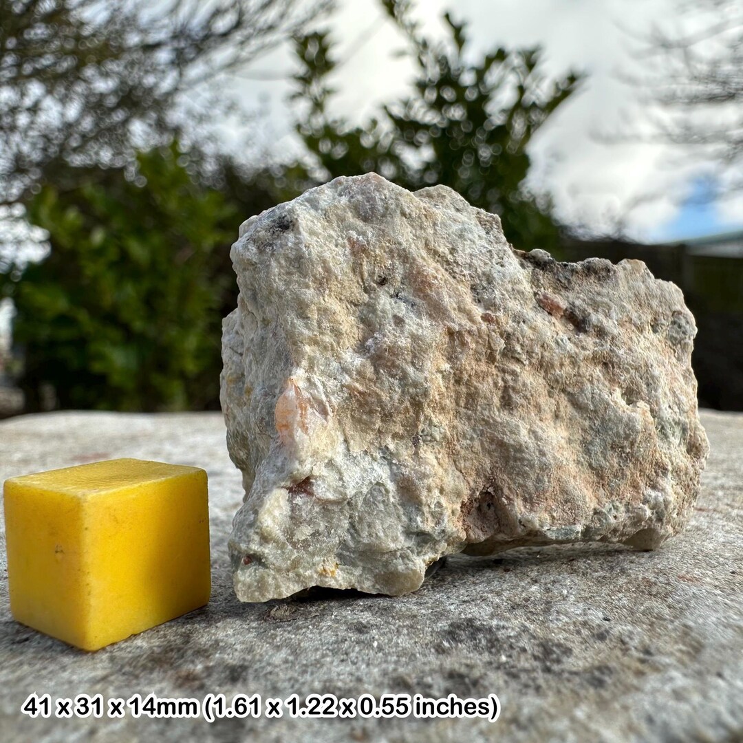 Dinosaur Coprolite Fossil Poo Poop (jurassic) – Morrison Formation ...