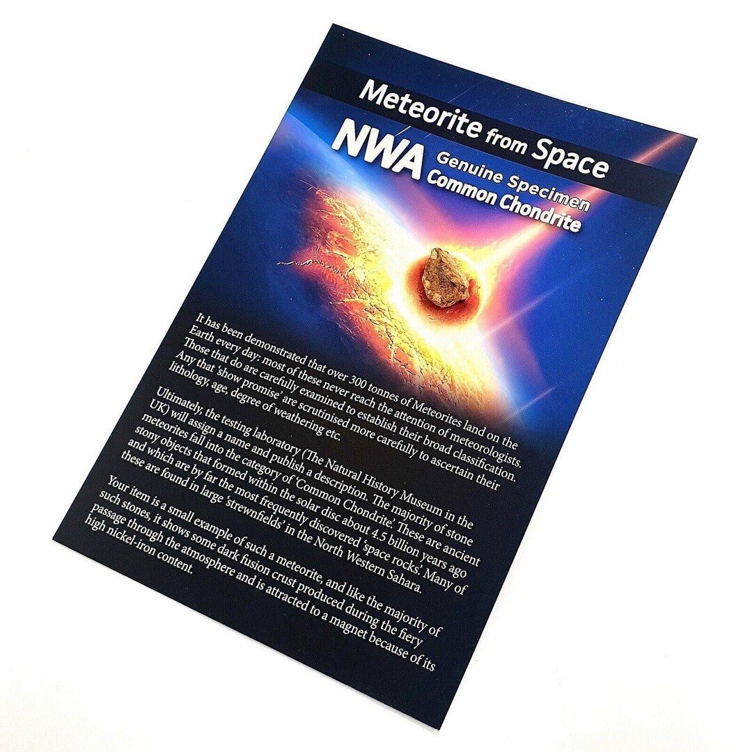 Common Chondrite Meteorite Story Card Space Education & Science Kids ...