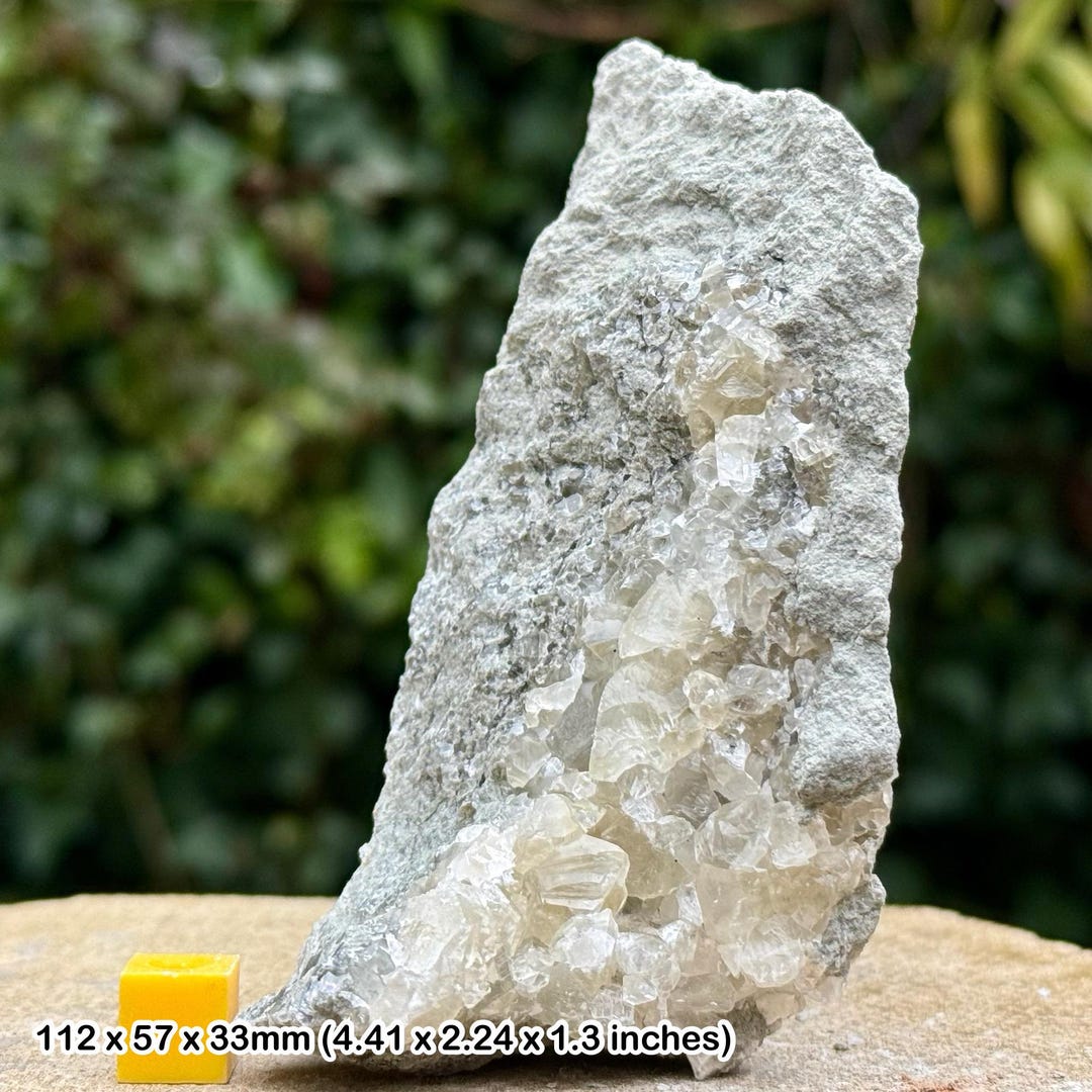 Rare Calcite Crystals in Vug - Sidmouth Mudstone Formation, Triassic ...