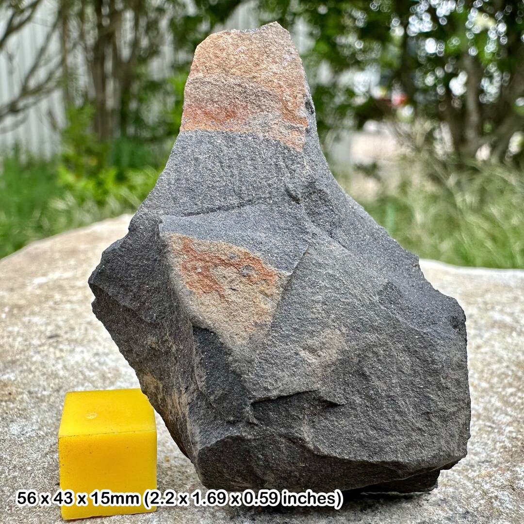 Authentic Uk Oil Shale Rock Sample Fracking Exploration Geology ...