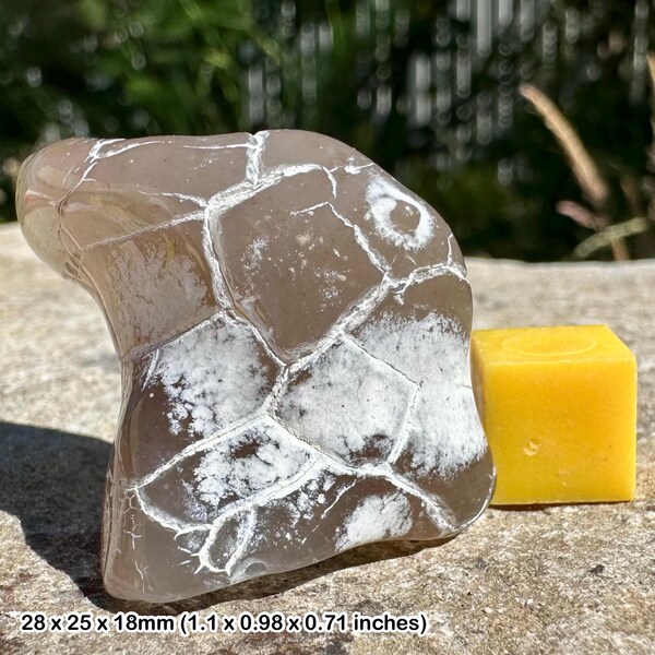 Snakeskin Agate - Etsy