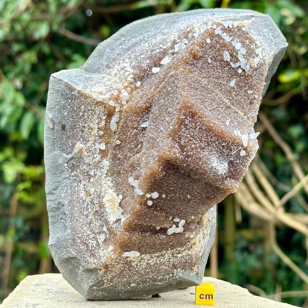 Dogtooth Crystal Calcite in Red/brown Split Nodule, Jurassic Coast ...
