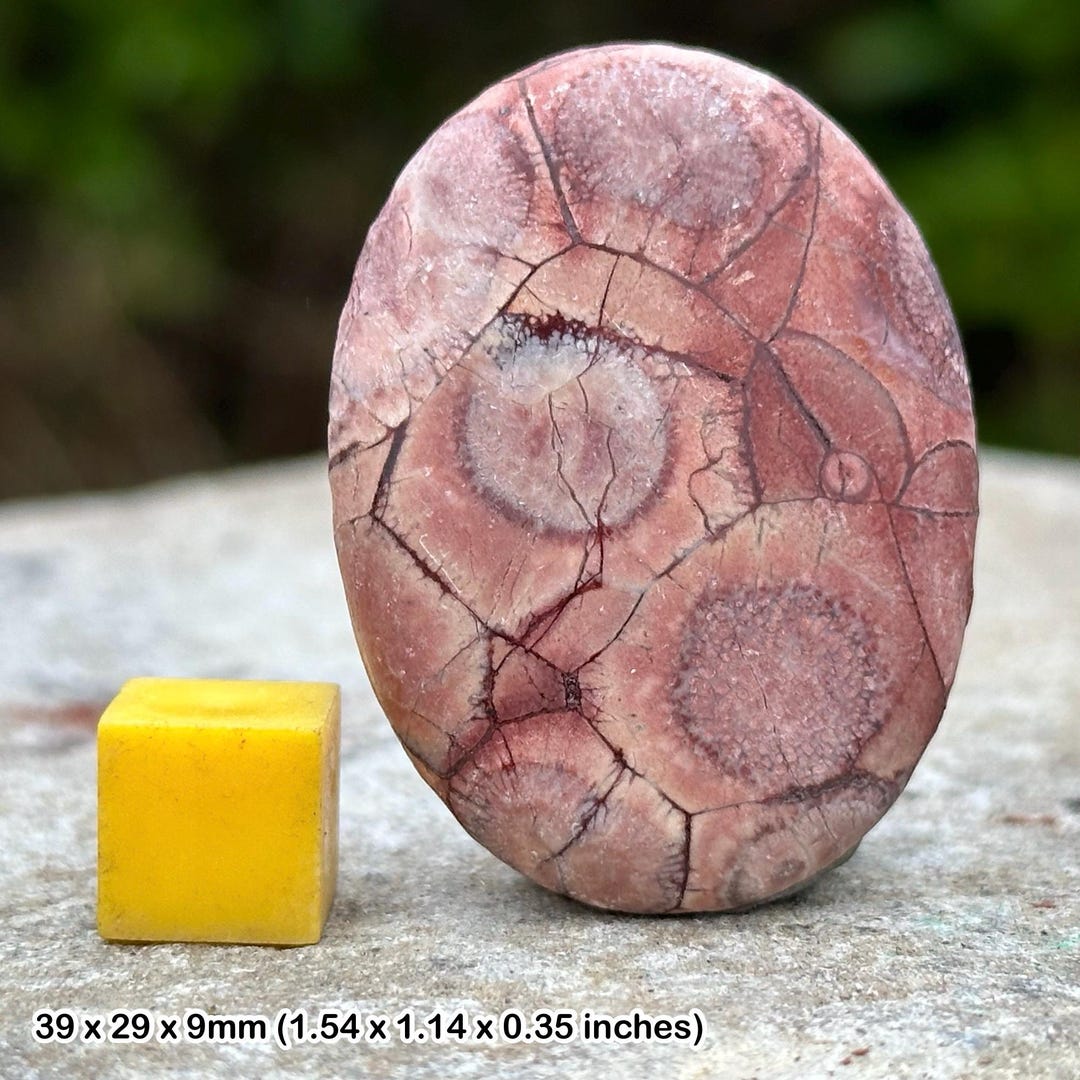 Fish Eye Jasper Palm Stone Worry Stone Crystal Healing Genuine Specimen ...