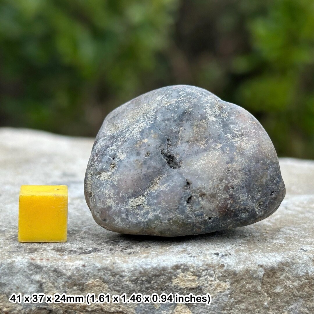 Jurassic Dinosaur Gastrolith Stomach Stone Fossil - Morrison Formation ...