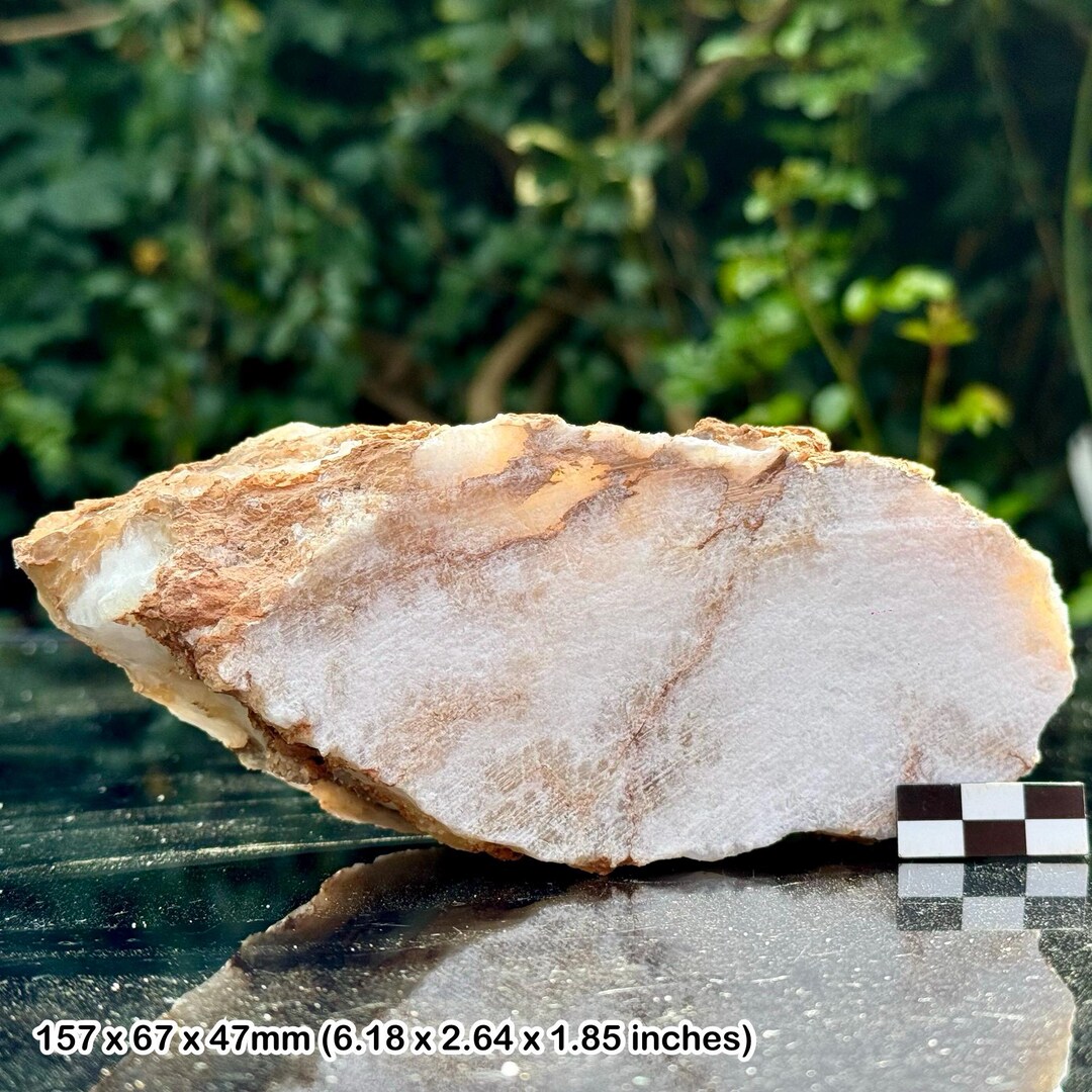 Cut & Sliced Snow Gypsum Crystal | Aust Cliff, Bristol | Triassic ...