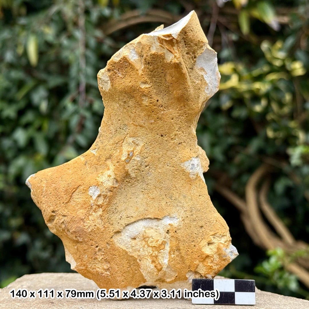 Spiky Flint Crystal – Cretaceous Grey Chalk, Branscombe Dorset Uk ...