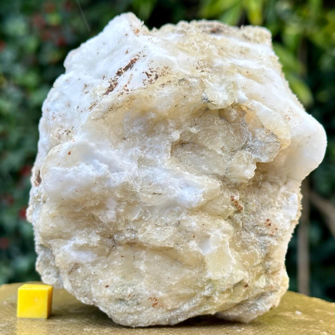 Snow Crystal Gypsum, Aust, Bristol, Triassic Age, Authentic - Etsy