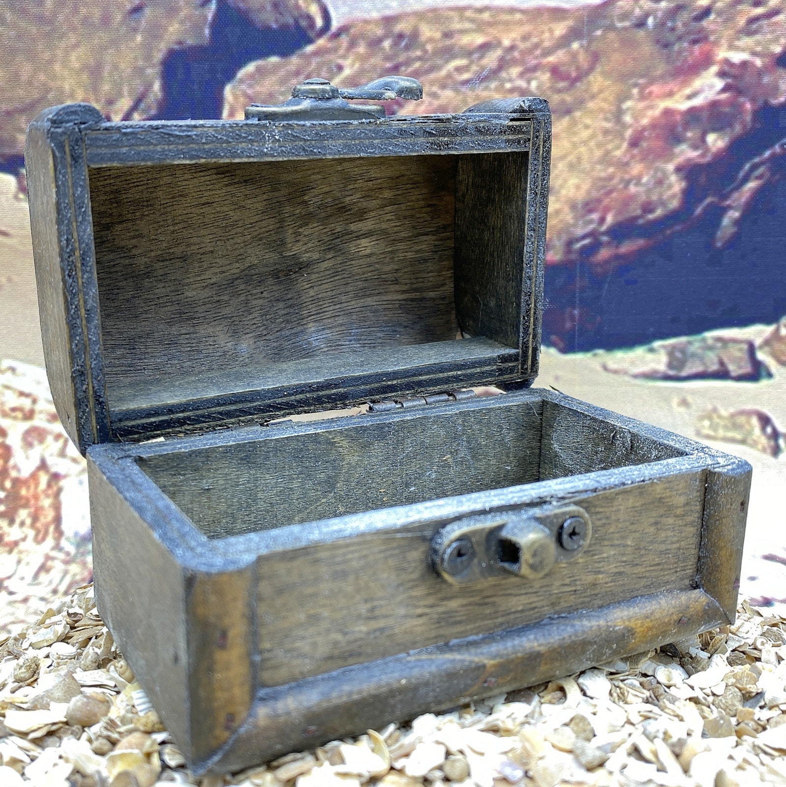 Treasure Chest Gift With Real Fossils Crystals and Gemstones | Etsy UK