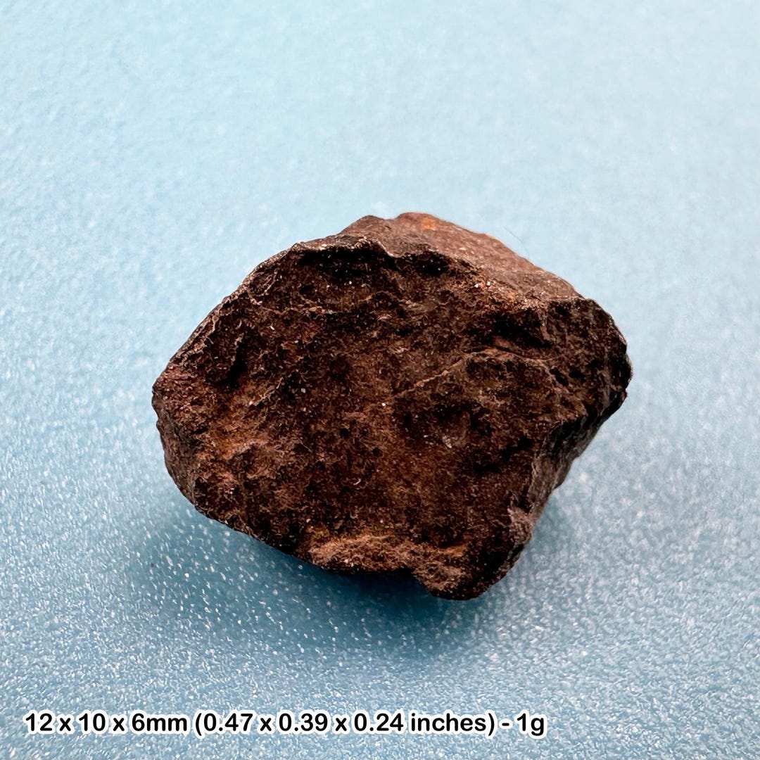 L4/5 Common Chondrite Meteorite - North West African Space Rock - Etsy
