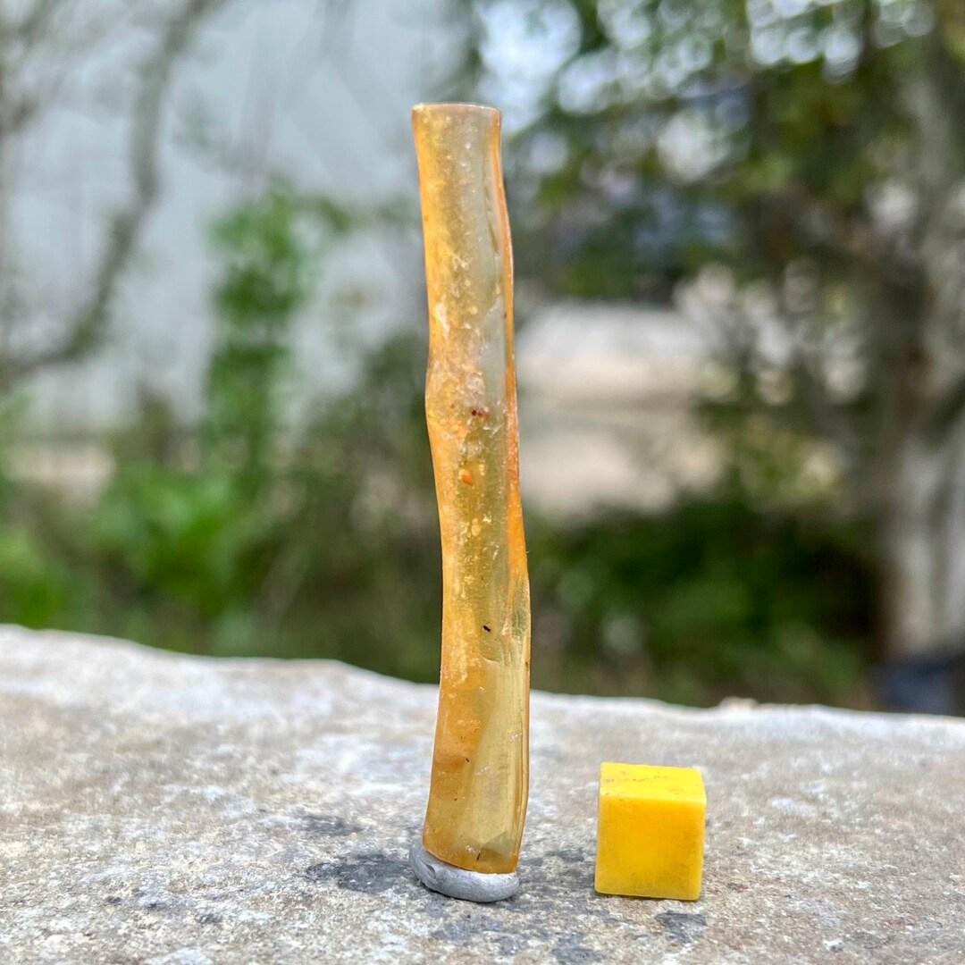 Copal With Fossil Insects and Inclusions - Etsy