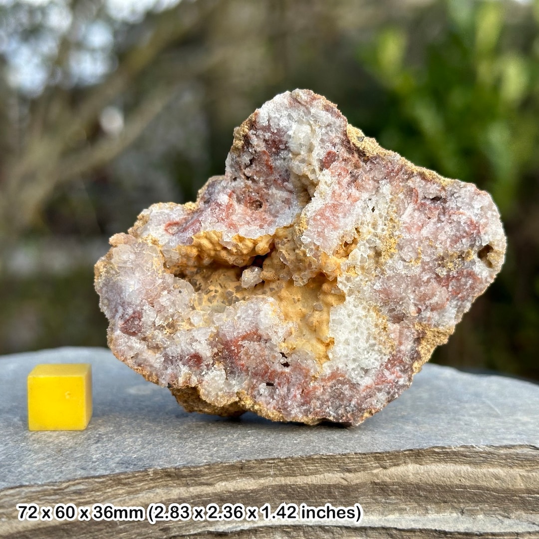 Unique Dulcote Agate Hollows Stunning Natural Beauty - Etsy