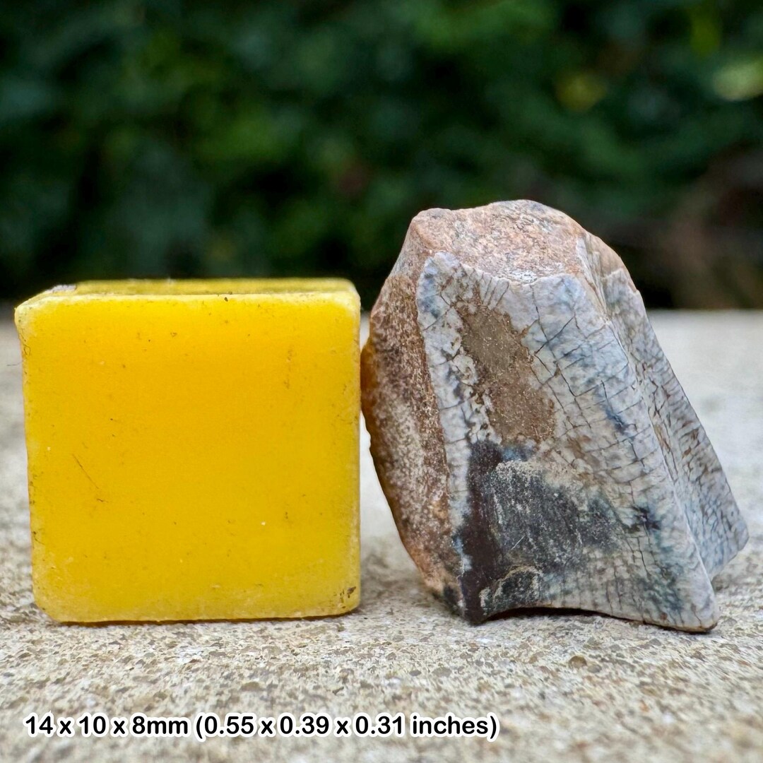 Dinosaur Edmontosaurus Tooth Fossil Hadrosaur Lance Creek Formation ...